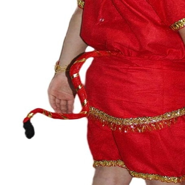 Hanuman ji ki Poonch - Hanuman Tail – Sarvda